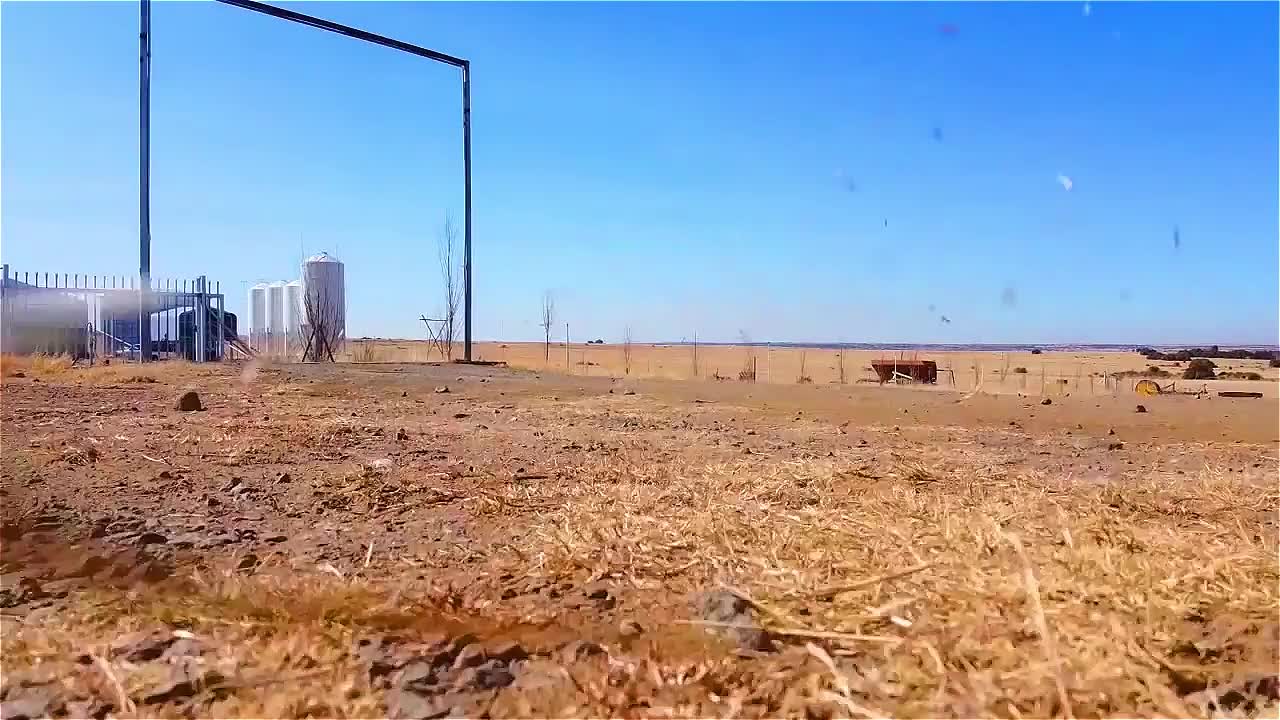 Tau Foods - Fresh and Sustainable Food Solutions