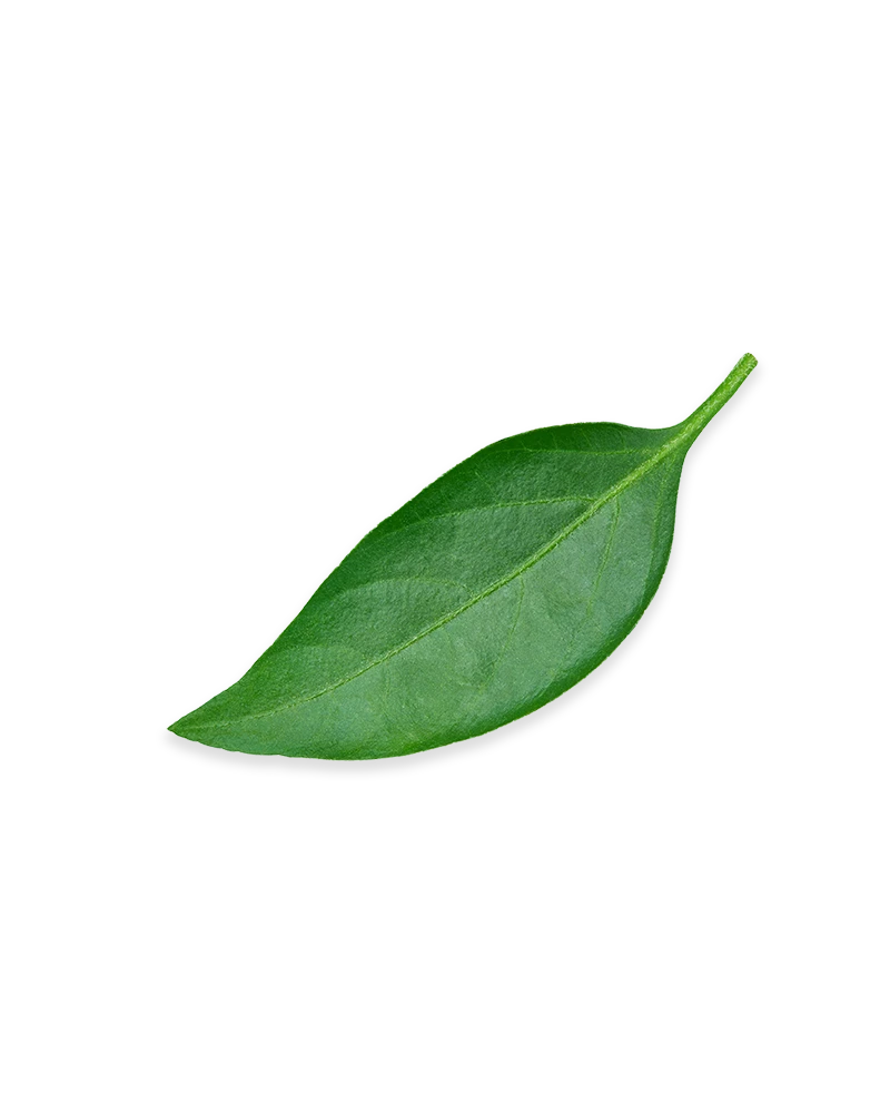 About Capsicolle | All natural Capsaicin Products