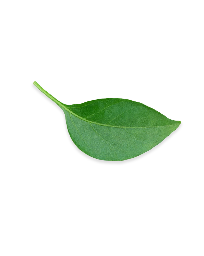 About Capsicolle | All natural Capsaicin Products