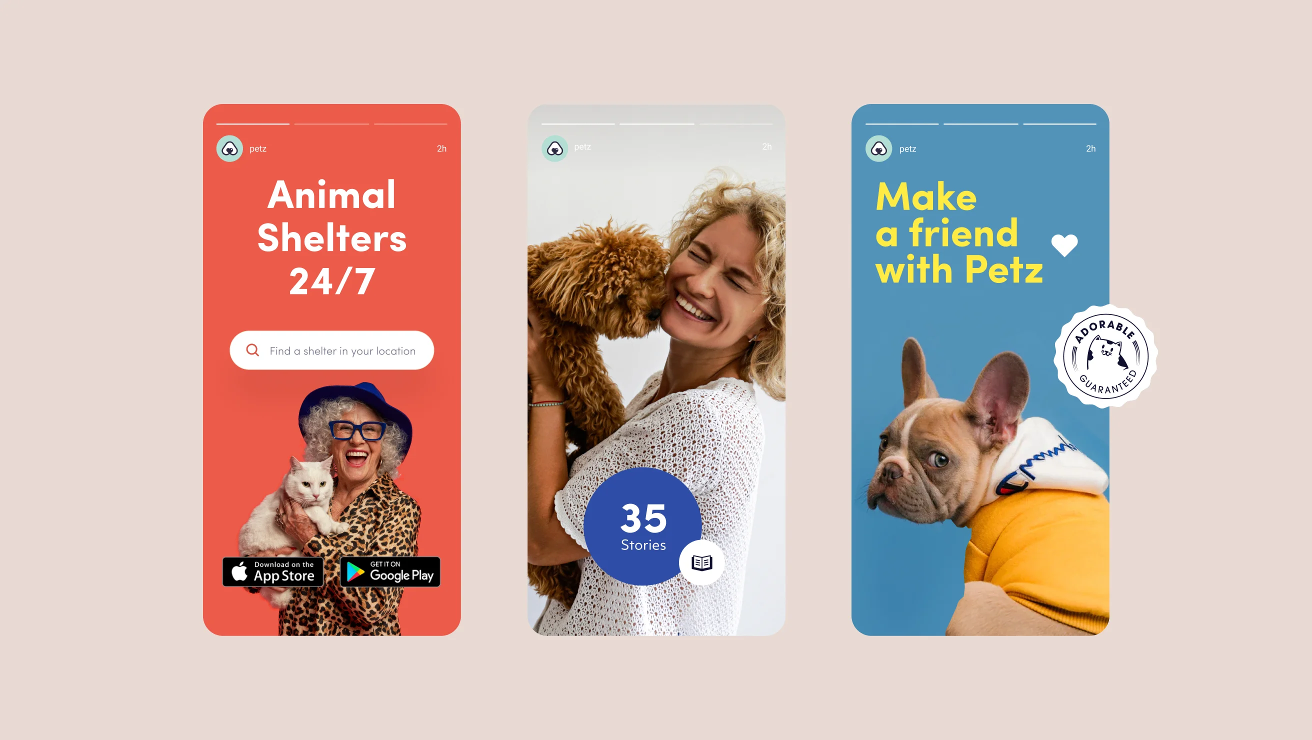 Petz: A cheerful take on branding to help house our furry friends | Halo Lab