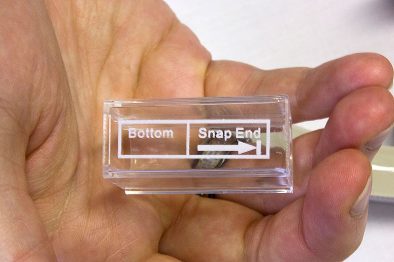 Cutting Fixtures & Installing Snap Connectors | Glow Lab