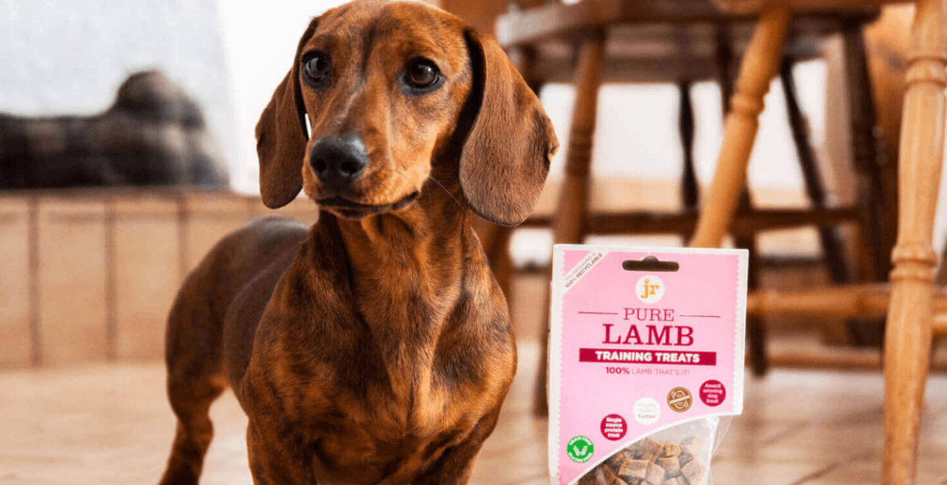 Case Study - JR Pet Products | Kubix