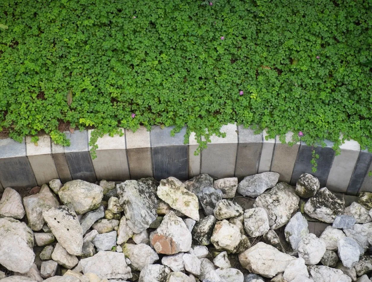 Landscaping Fredericksburg VA | Yard Sharks