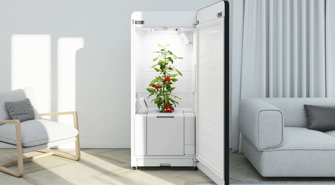 LEAF - Automated Hydroponic Home Grow System