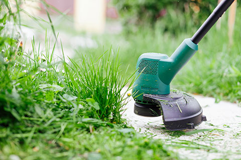 Professional Lawn Care Services | Just-In Time Lawn Maintenance