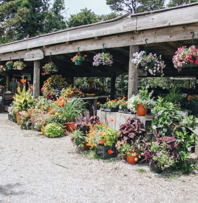 Moors End Farm | Nantucket, MA