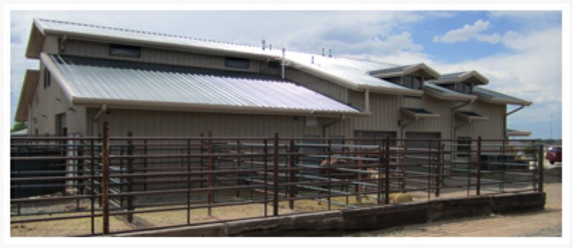 Bird Dog Construction - Pre-Engineered Steel Buildings
