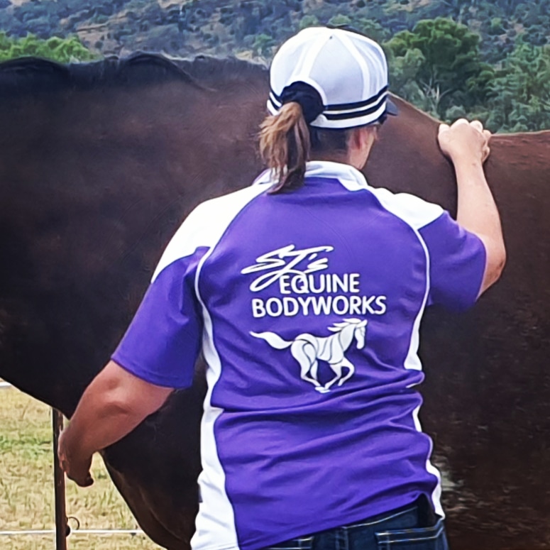 Equine Tension Release Therapy (ETRT) - SJ's Equine Bodyworks Services