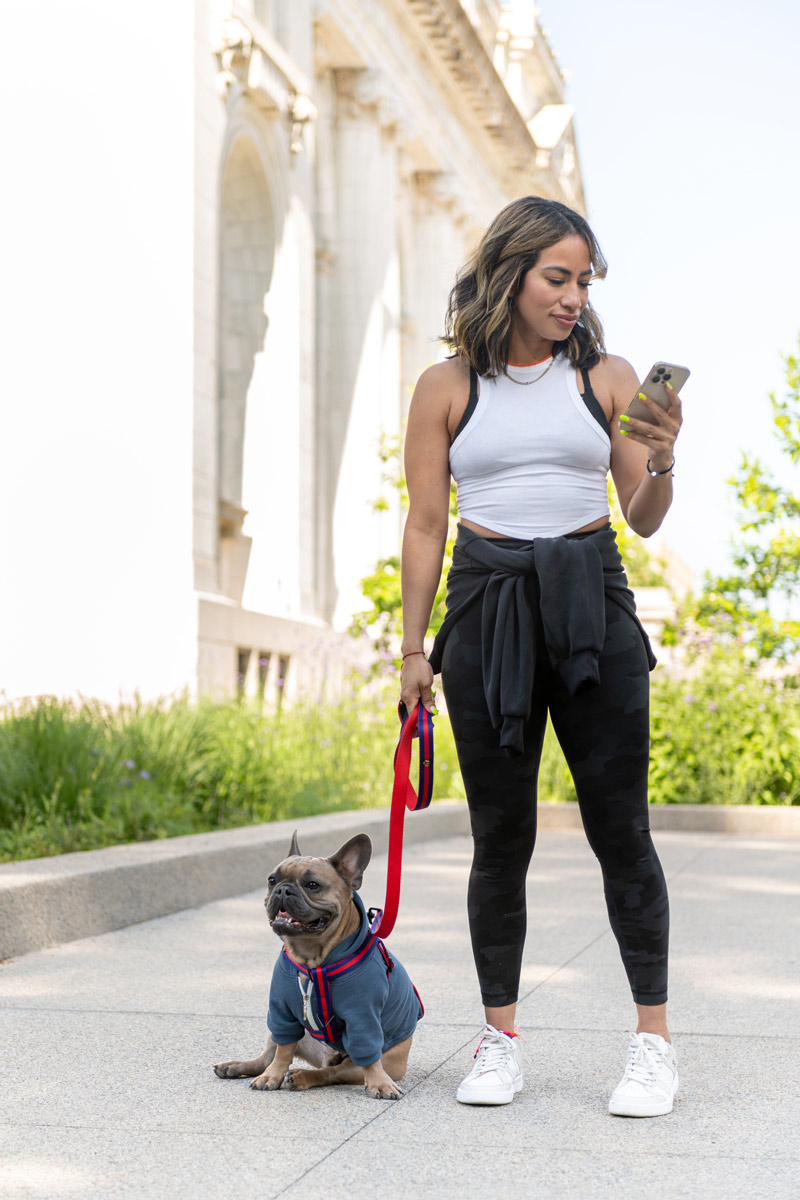 Cantata - DC Apartments in the Heart of Thriving Mount Vernon Triangle