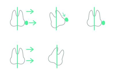Biomechanics of clear aligners [Experts Explain] | Eon Aligner