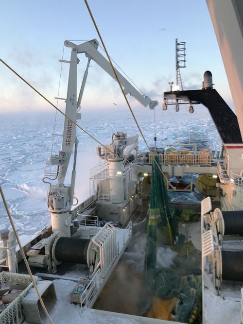 Regina C - Ocean Harvesting - Reference - SEAONICS