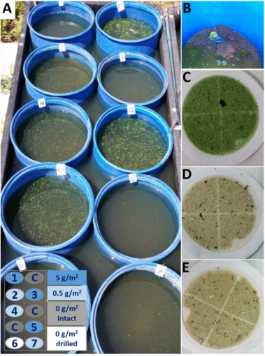 BlueGreen Water Technologies