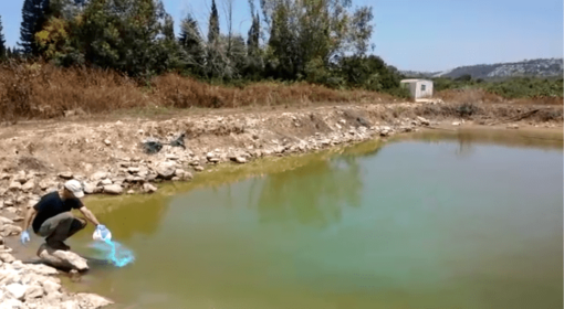 BlueGreen Water Technologies