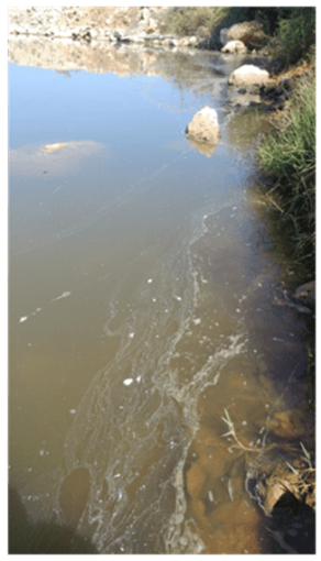 BlueGreen Water Technologies