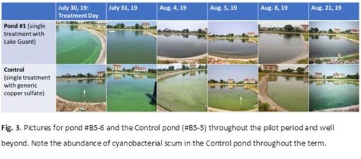 BlueGreen Water Technologies