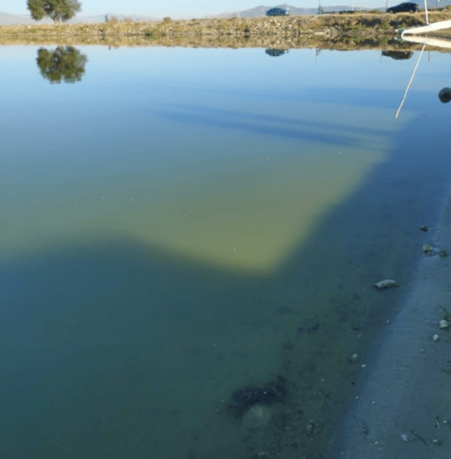 BlueGreen Water Technologies