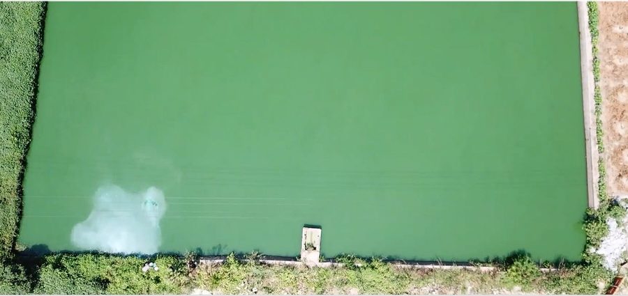 BlueGreen Water Technologies