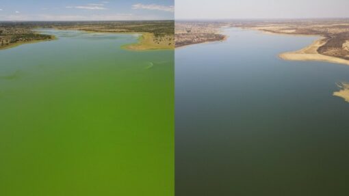 BlueGreen Water Technologies