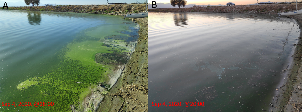 BlueGreen Water Technologies