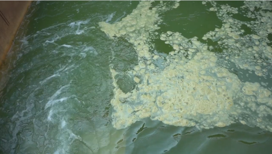 BlueGreen Water Technologies