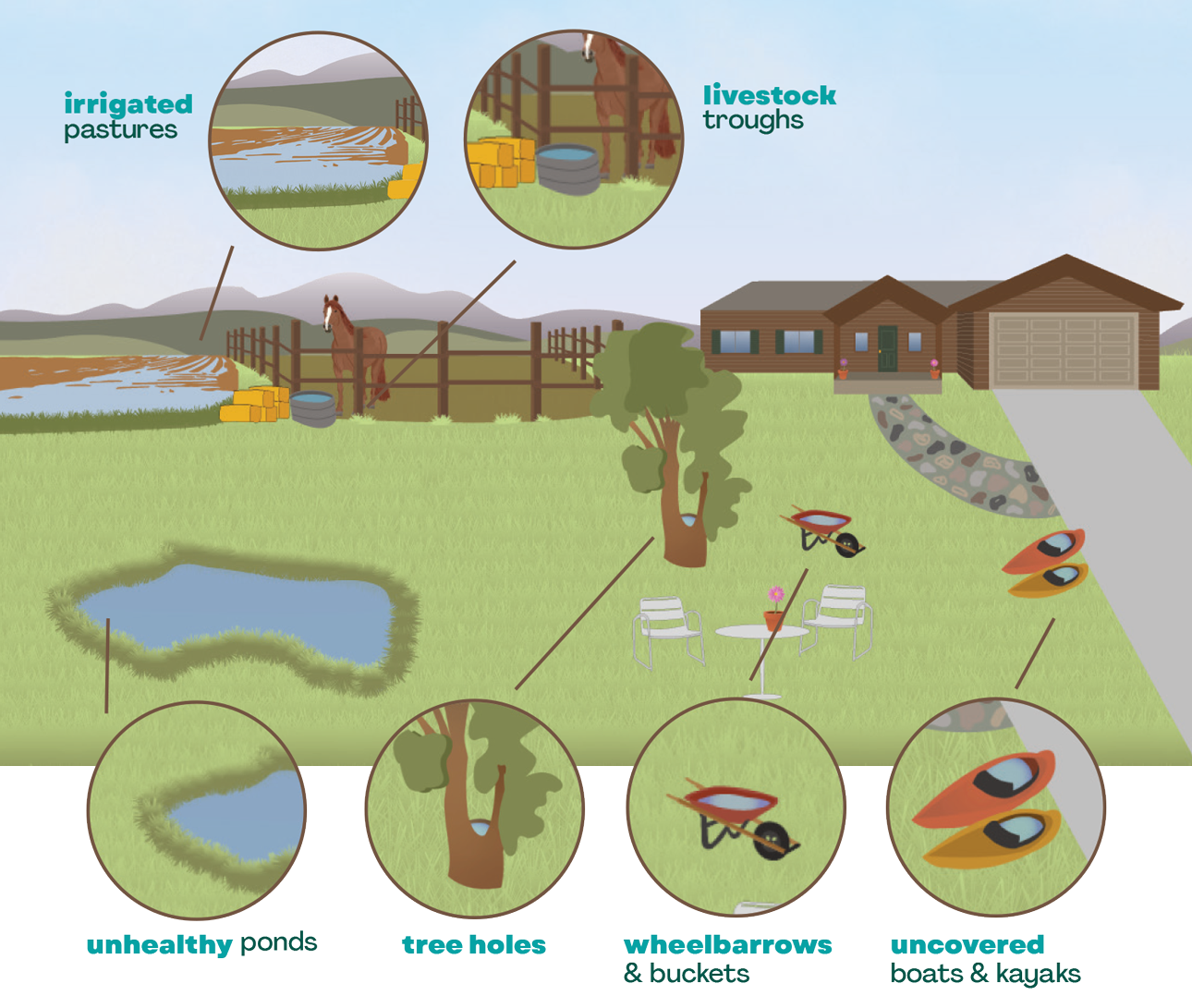 Mosquito Springtime Habitats | Teton County Weed & Pest News