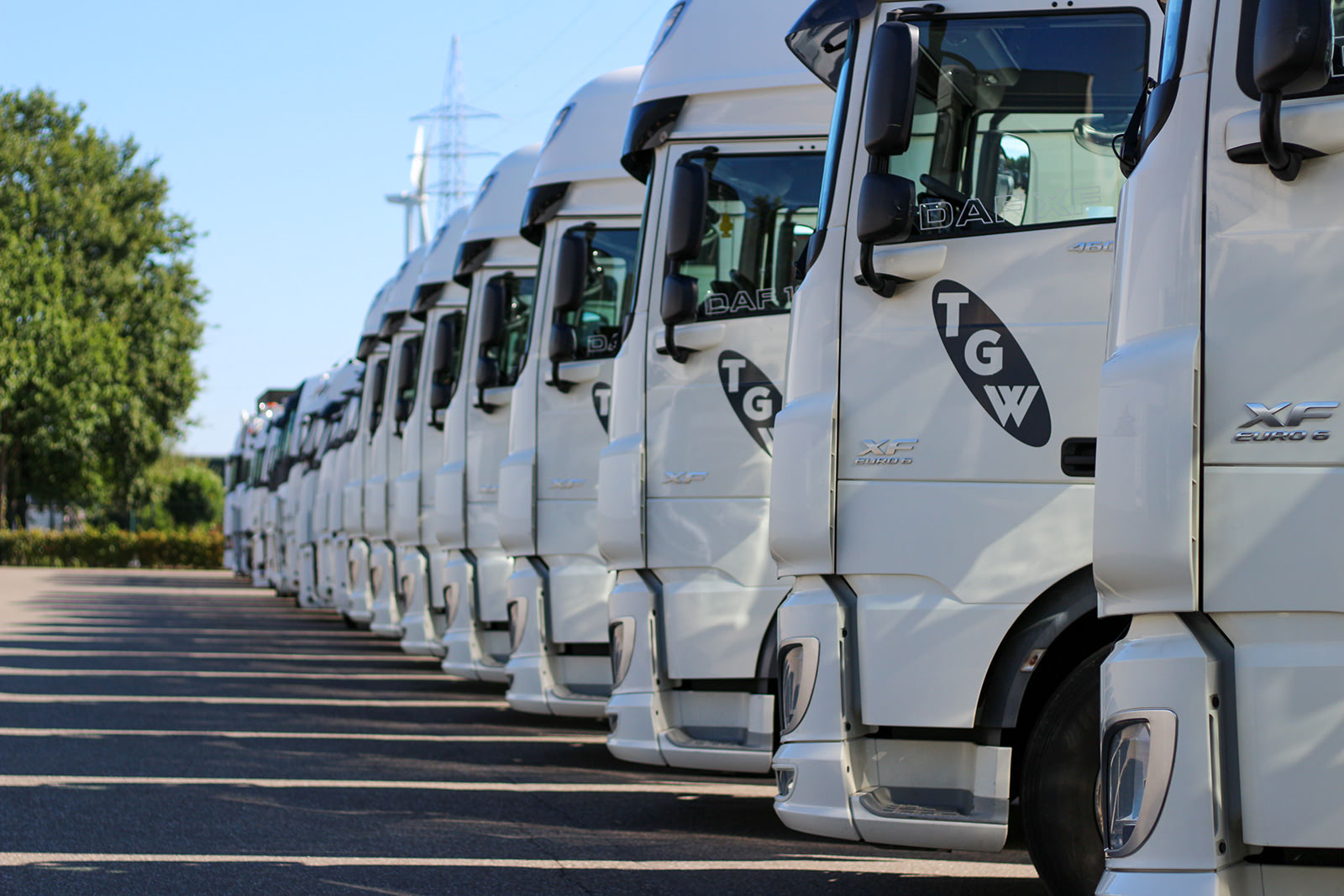 Wagenpark | TGW Transport