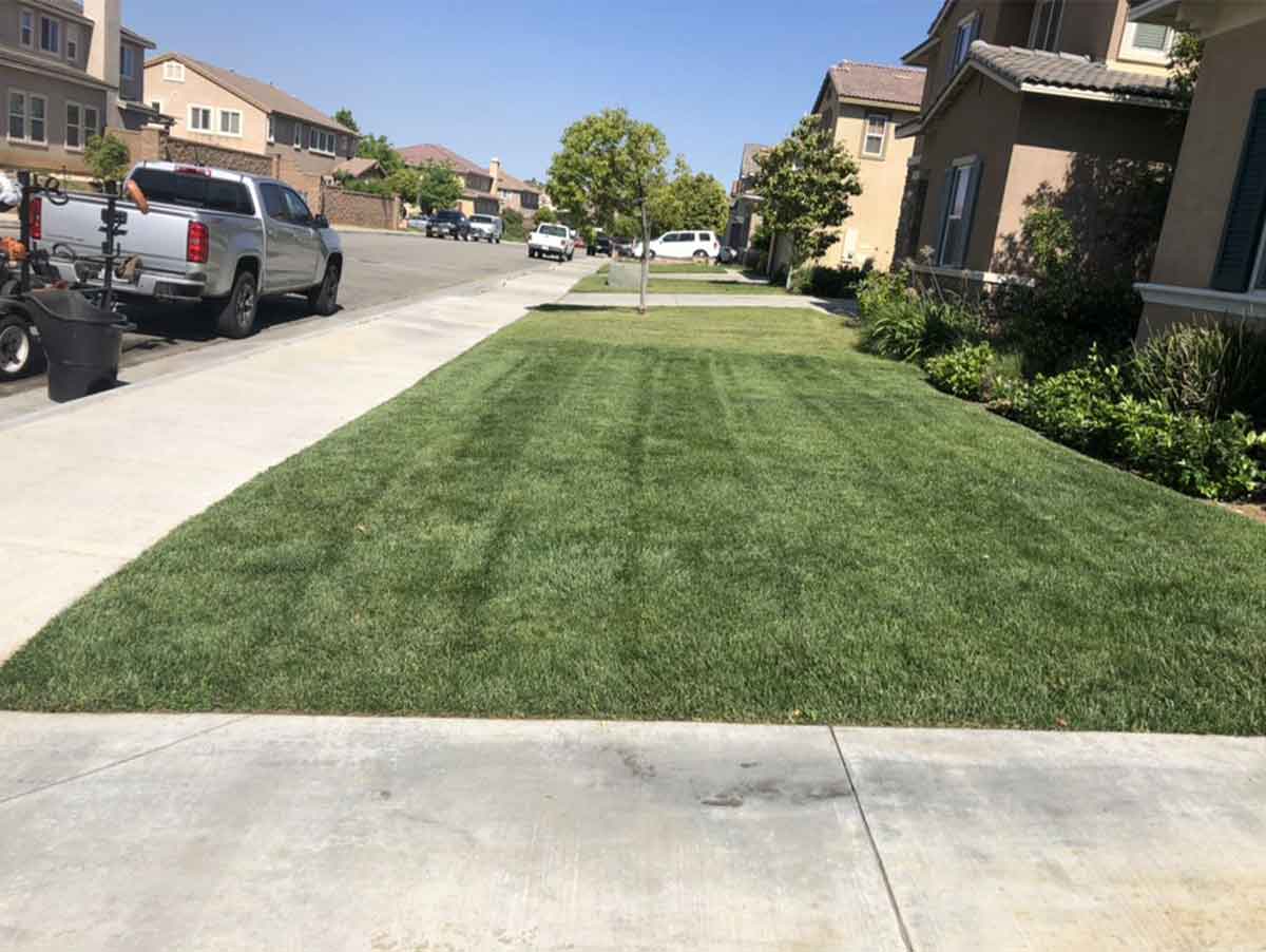 Home [stephens-lawncare.com]