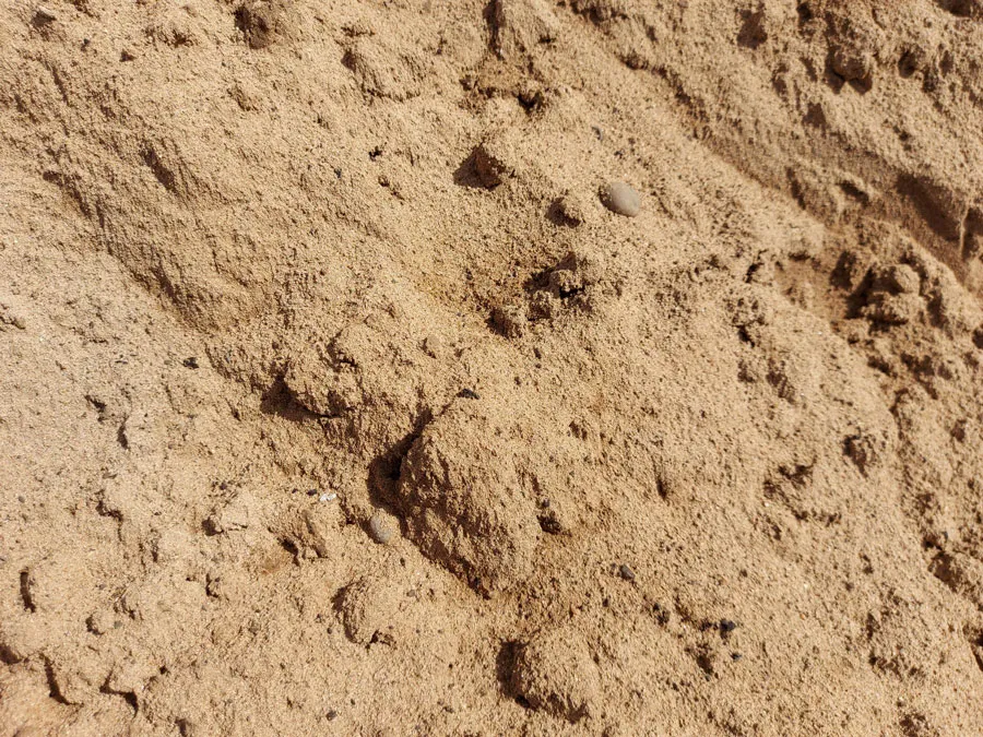 Sand & Aggregate Suppliers | Maitland Ready Mixed Concrete