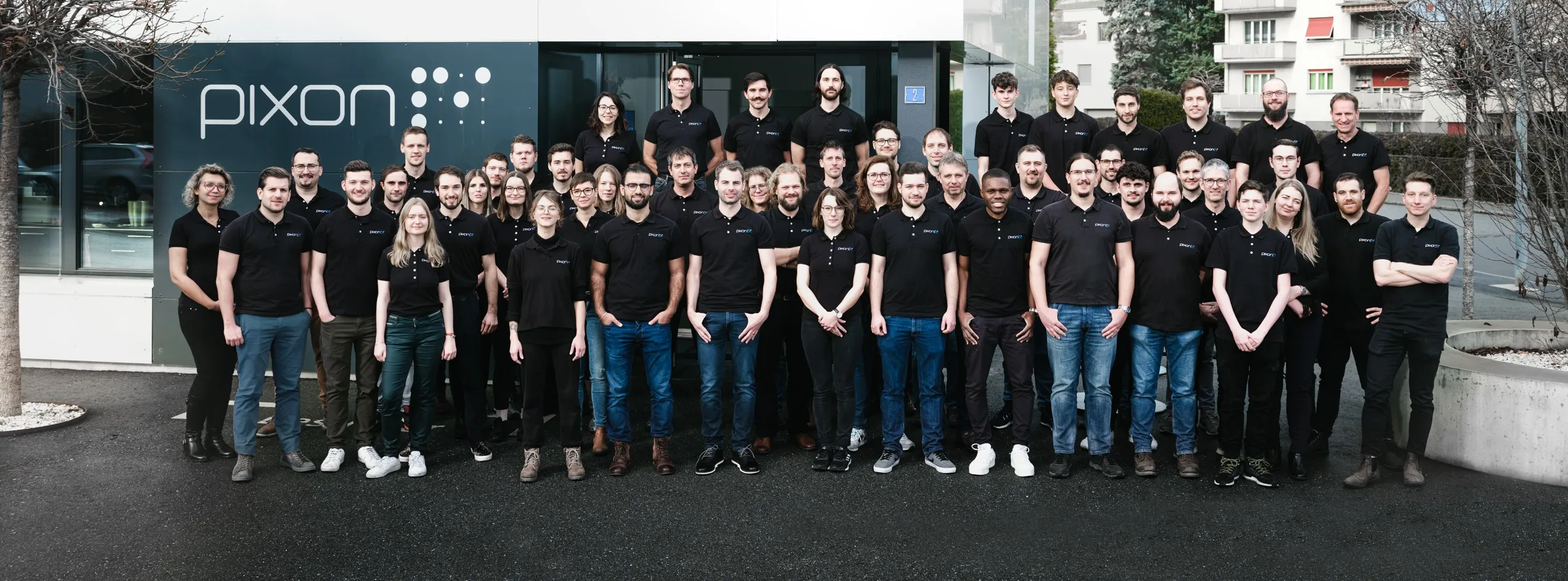 Pixon engineering - Expertisen