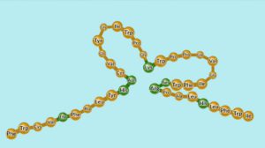In the News: Protein Folding
