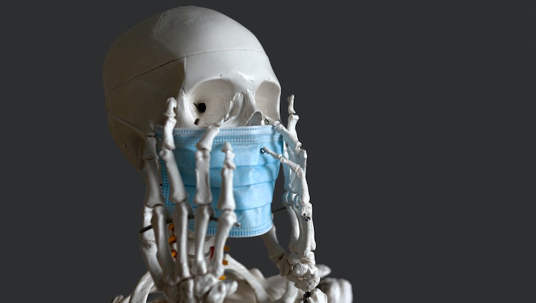 The Science Behind Your Spooky Halloween Costume