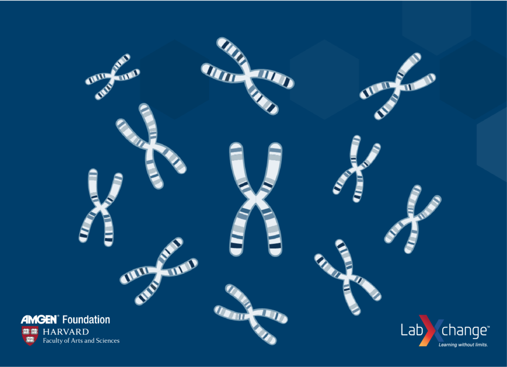 What Is Genetic Editing? This Is A Good Place To Start