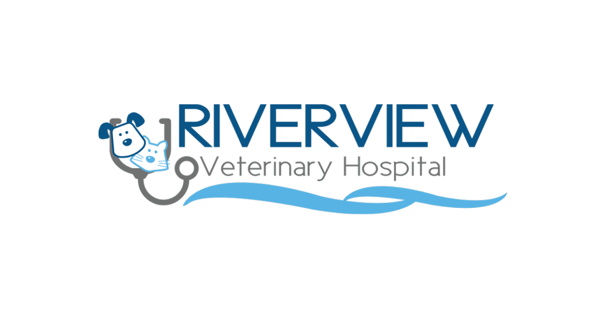 Our Services I Riverview Veterinary Hospital