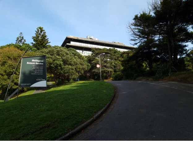 Commercial Construction Project Management - Wellington