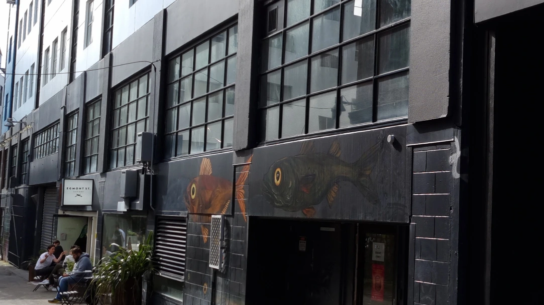 Commercial Construction Project Management - Wellington