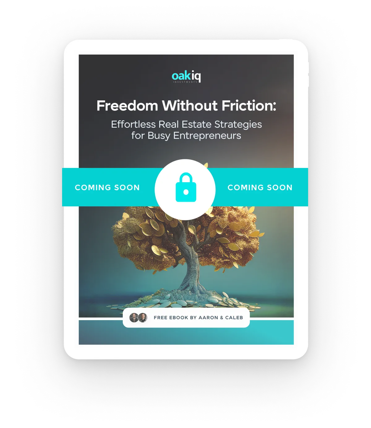 Freedom Without Friction: Effortless Real Estate Strategies for Busy ...