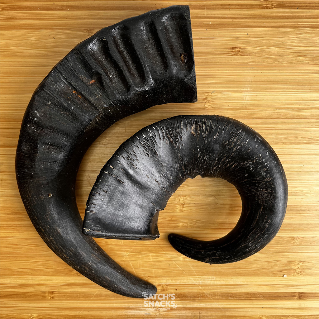 Buffalo Horn | Satch's Snacks Natural Dog Treats