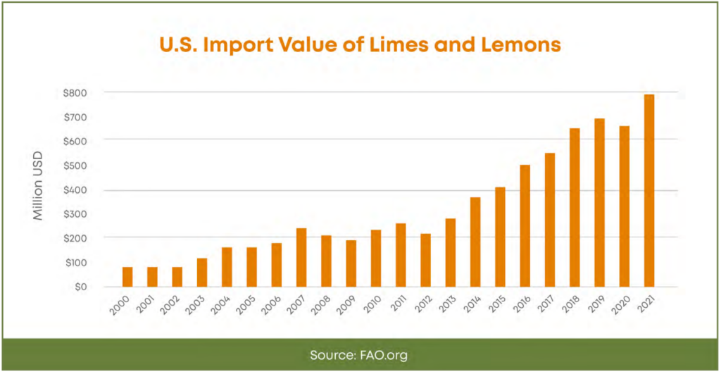 How Tahiti Limes Became A Global Phenomenon