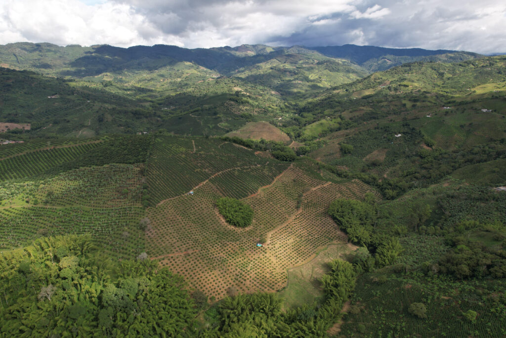 5 Ways to Invest in Farmland Without Ever Stepping on a Farm