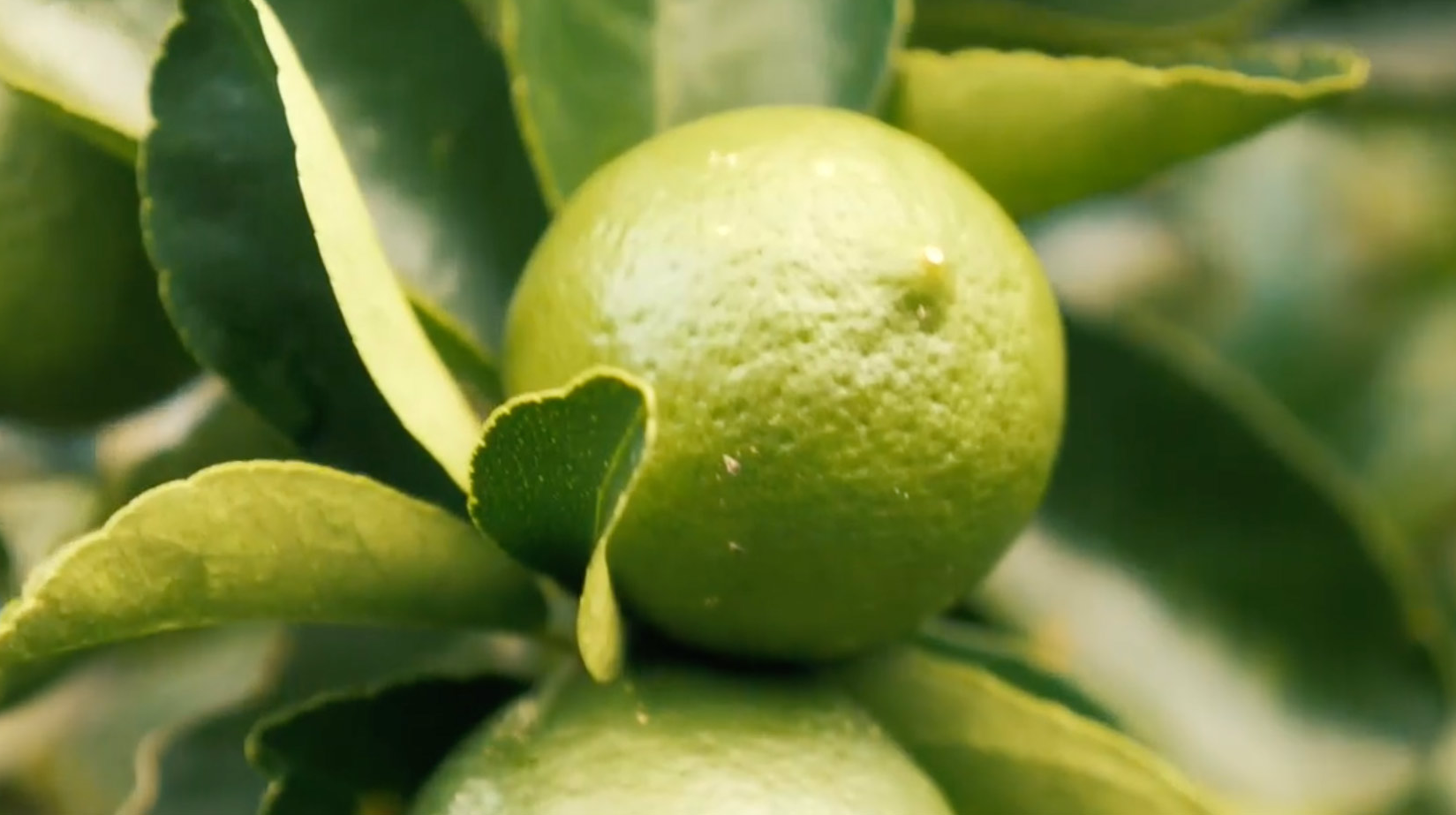 6 Ways Farmland Can Strengthen Your Retirement Account