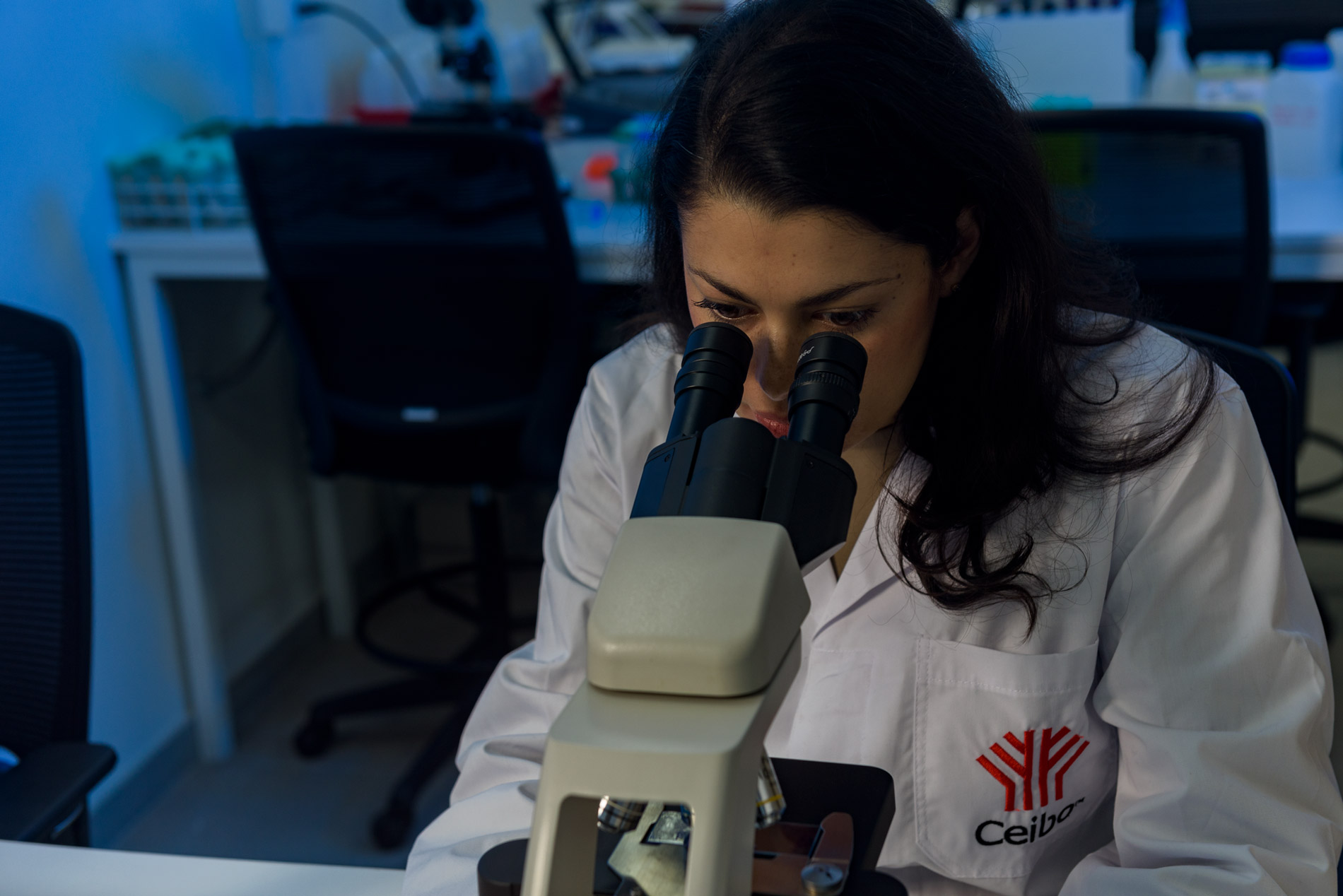 Ceibo - Accelerating access to copper