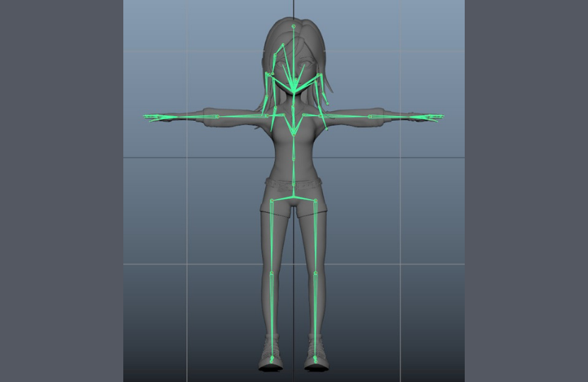 How to Rig for Simulation