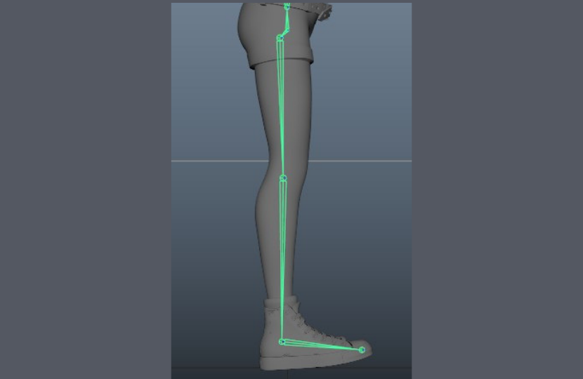 How to Rig for Simulation