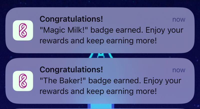 Mobile Loyalty Gamification Examples: The Best in The Game