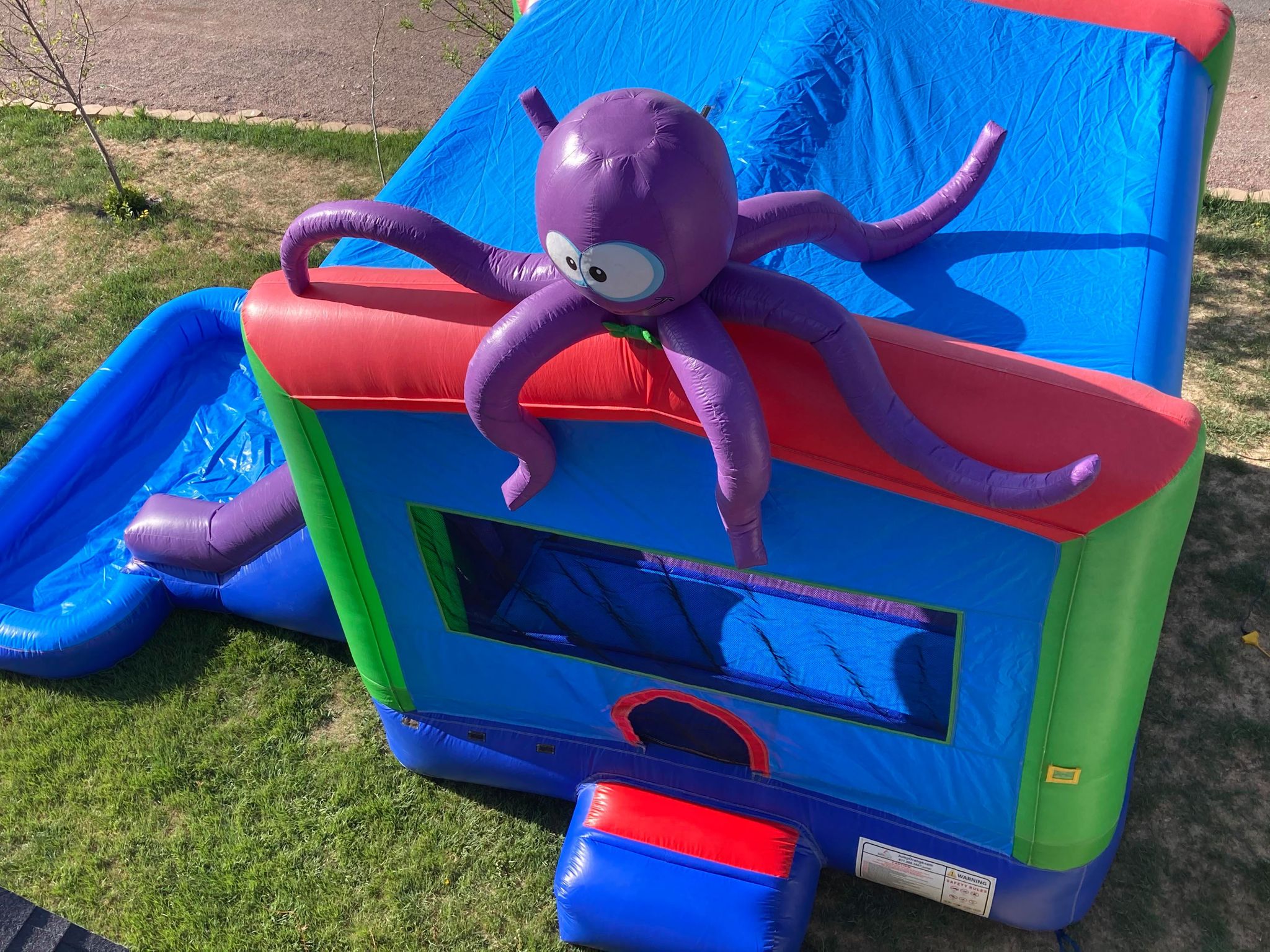 Octopus Pool | Bouncy House Inventory