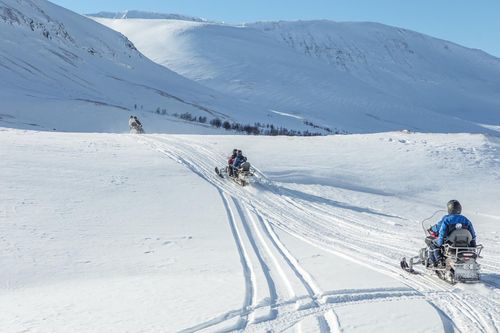 Explore Arctic Wonders with Polar Adventures