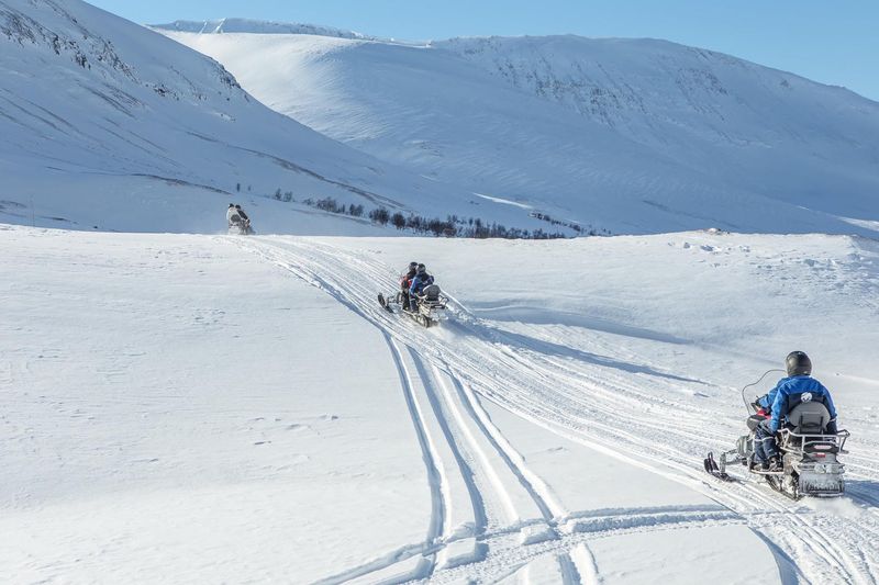Explore Arctic Wonders with Polar Adventures