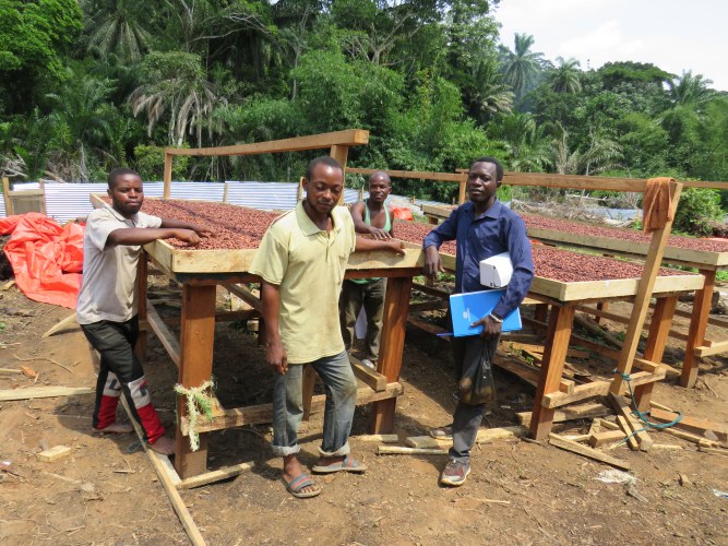 Congolese cacaoboeren geven smaak aan Belgische topchocolade | Nieuws