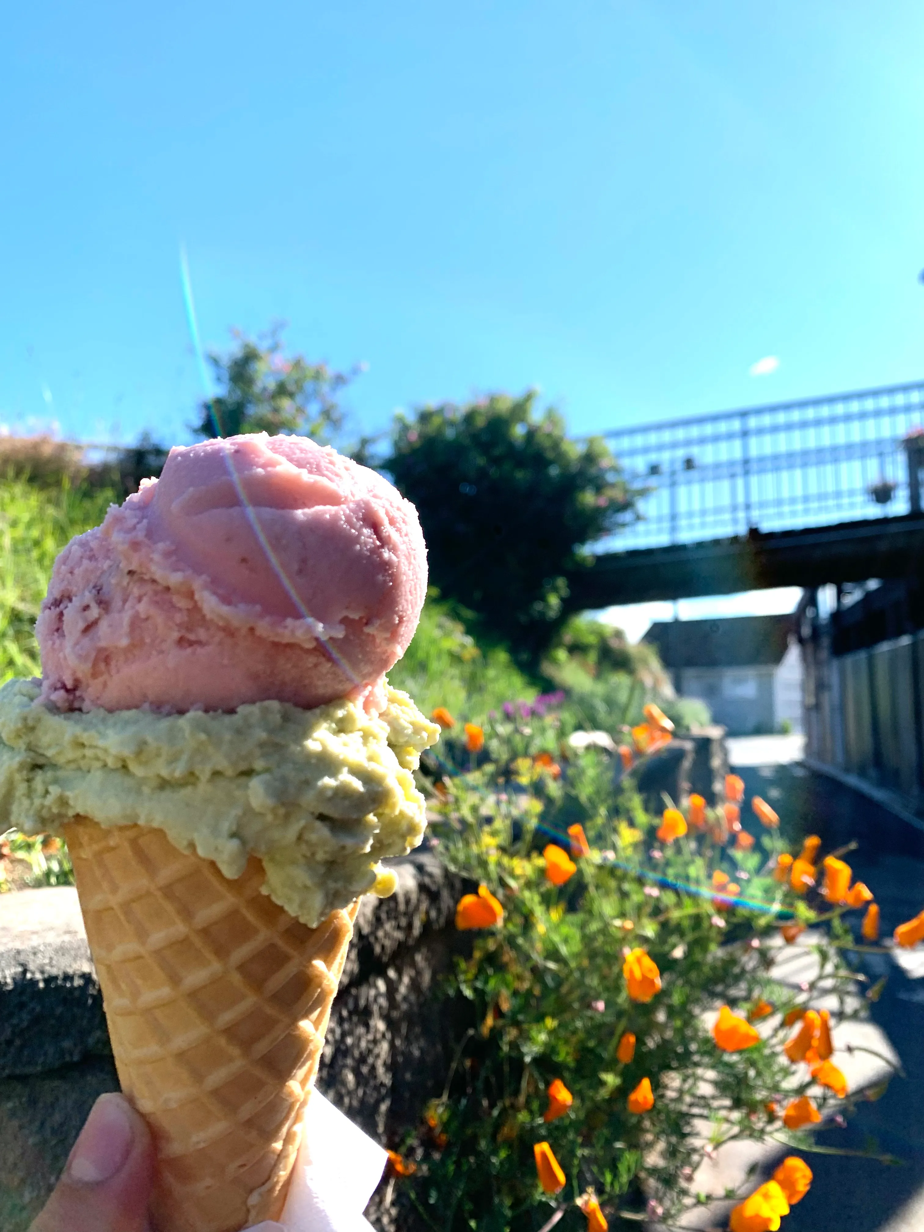 Breakwater Bistro & Bar | Premier Oceanfront Dining in Victoria, BC