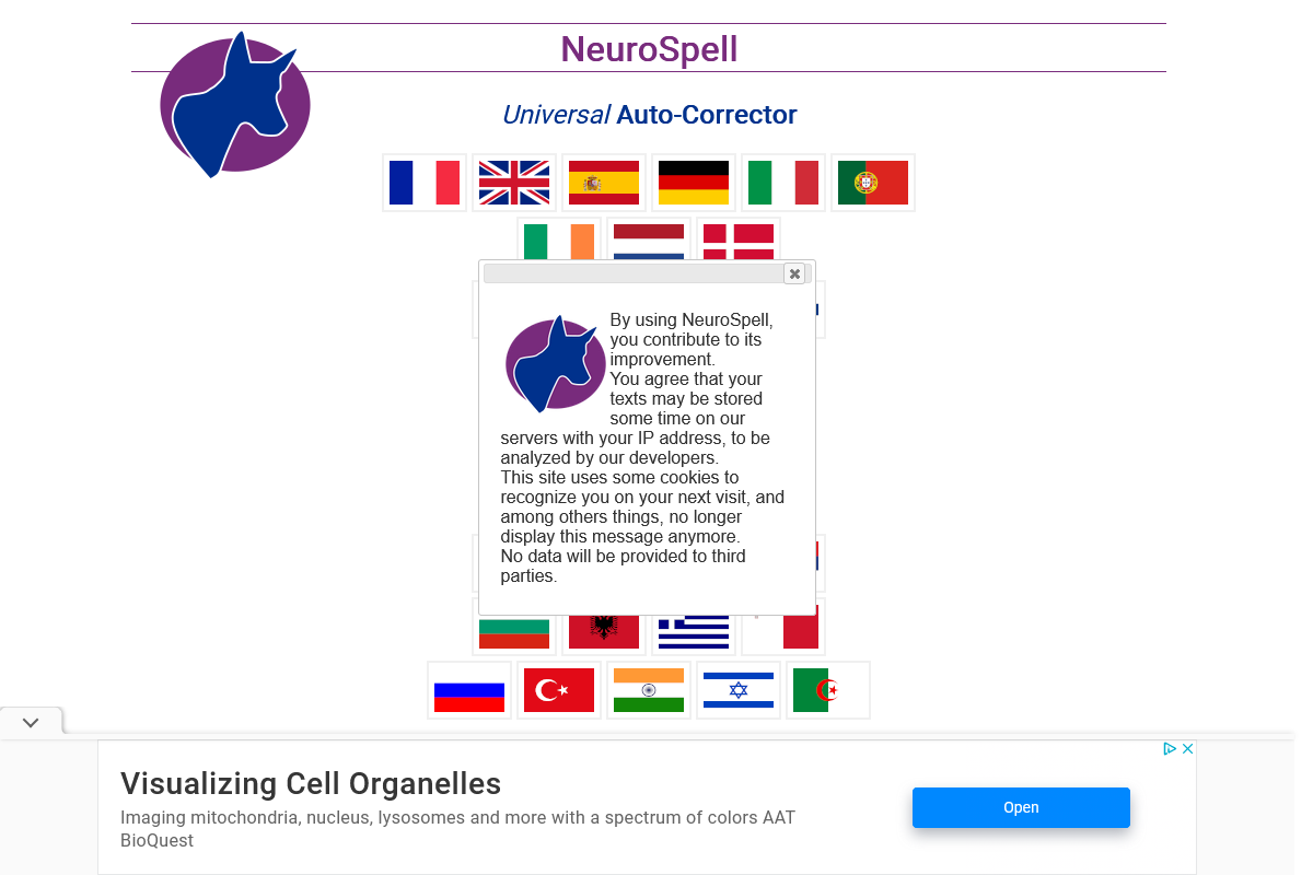 AI Tool | NeuroSpell